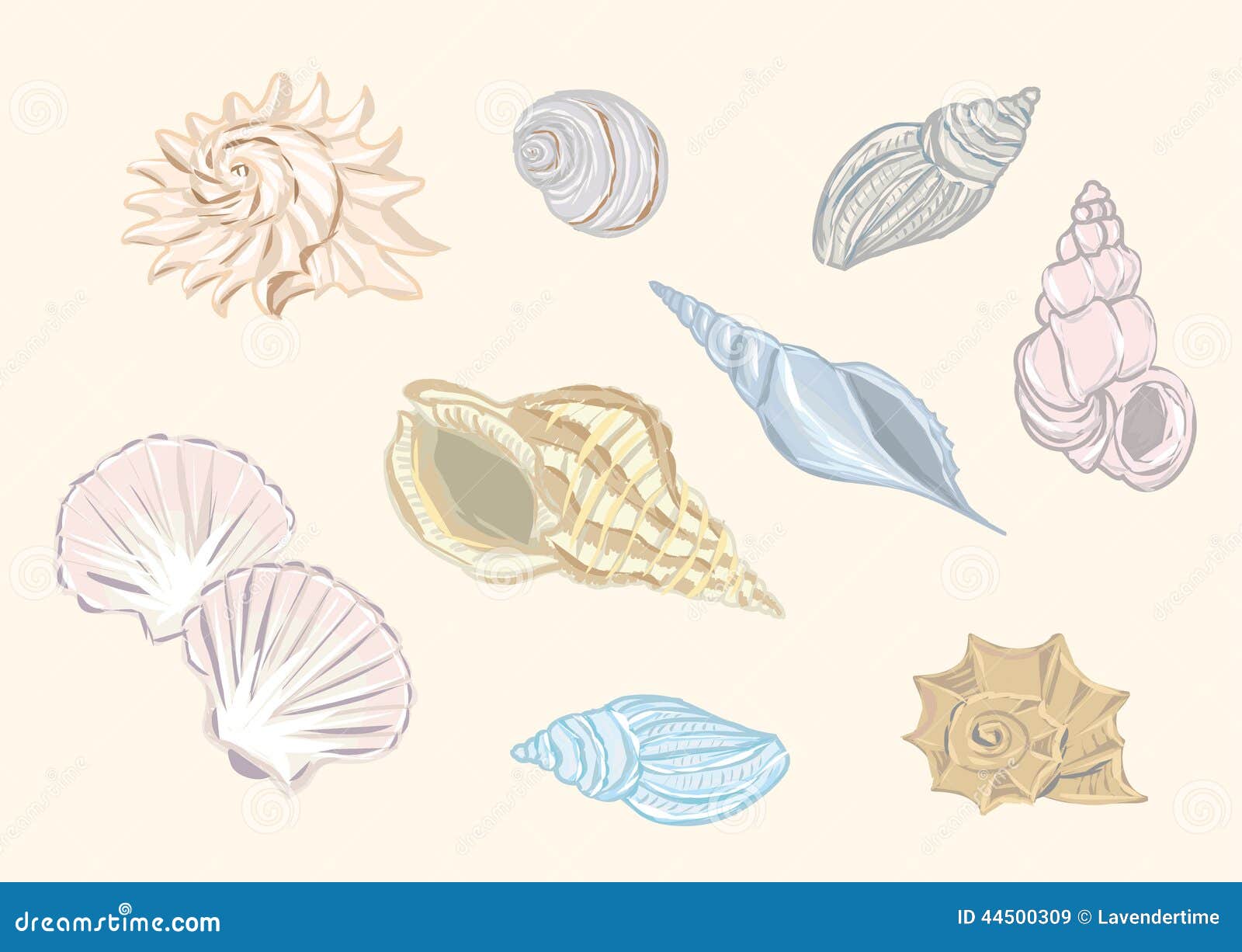 Shells vector set stock vector. Illustration of life - 44500309