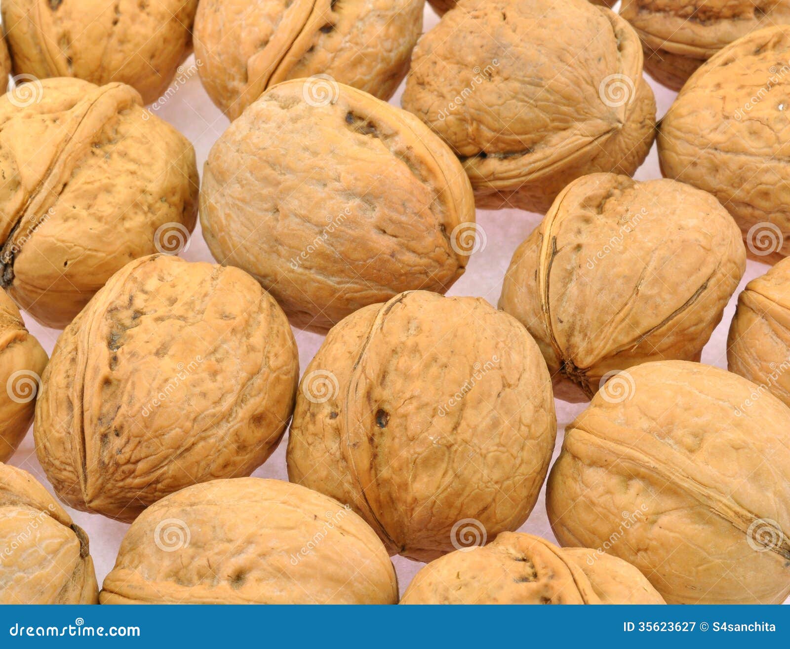 Shells of walnut stock image. Image of cover, akhroat - 35623627