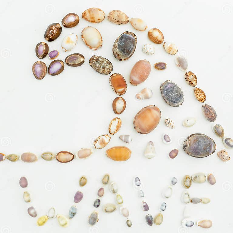 Shells. Wave Symbol Isolated on White Background. Flat Lay. Top View ...
