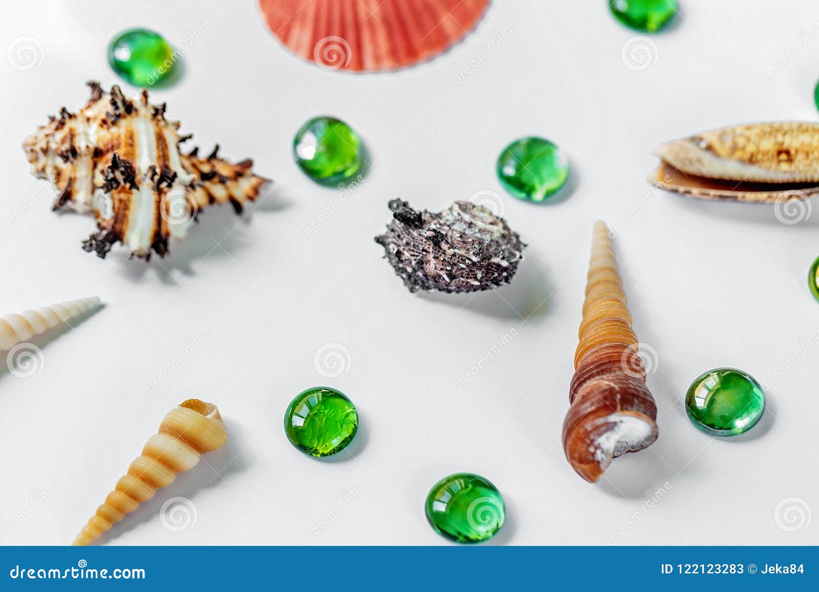 Shells on White. Beautiful Summer Background. Flat Lay. Stock Image ...