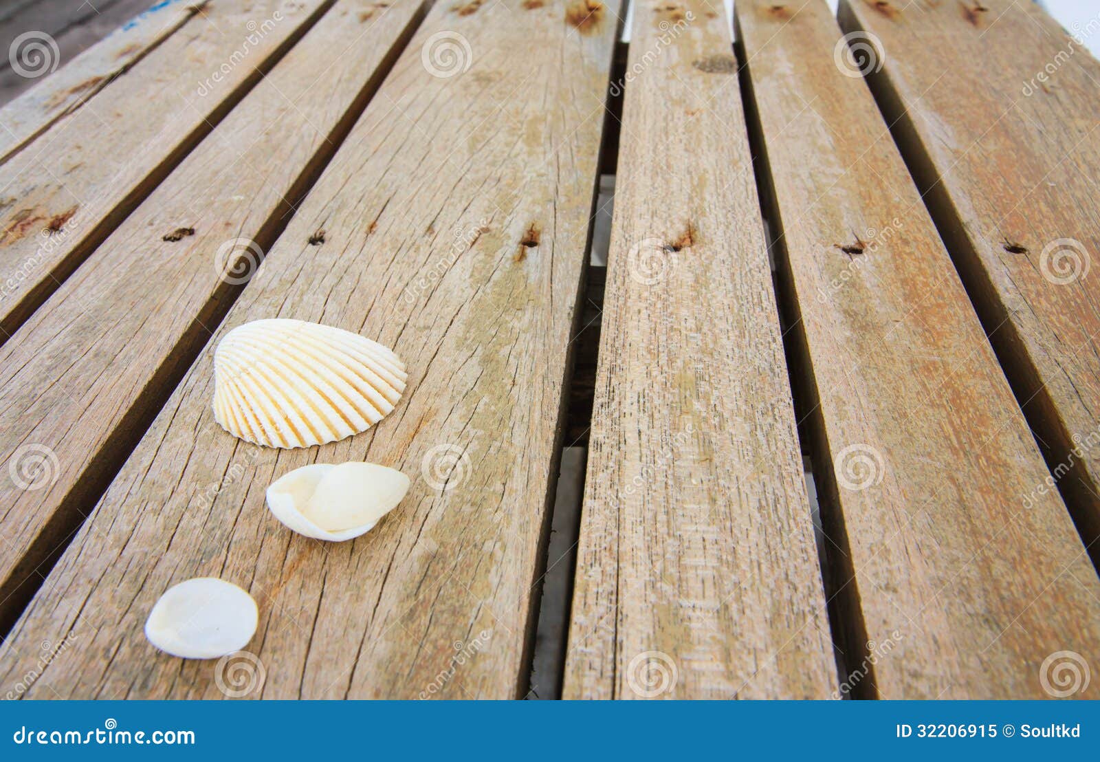 Shells on wood stock image. Image of sand, shabby, design - 32206915