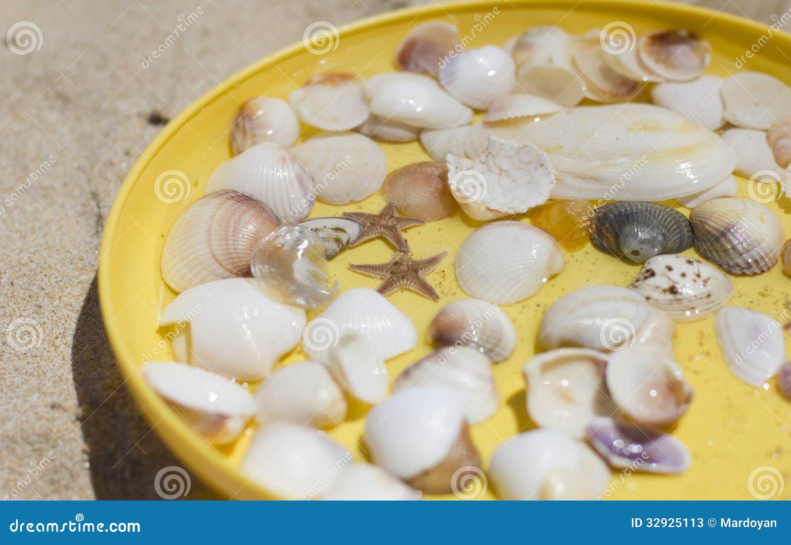 Shells stock image. Image of design, pattern, plastic - 32925113