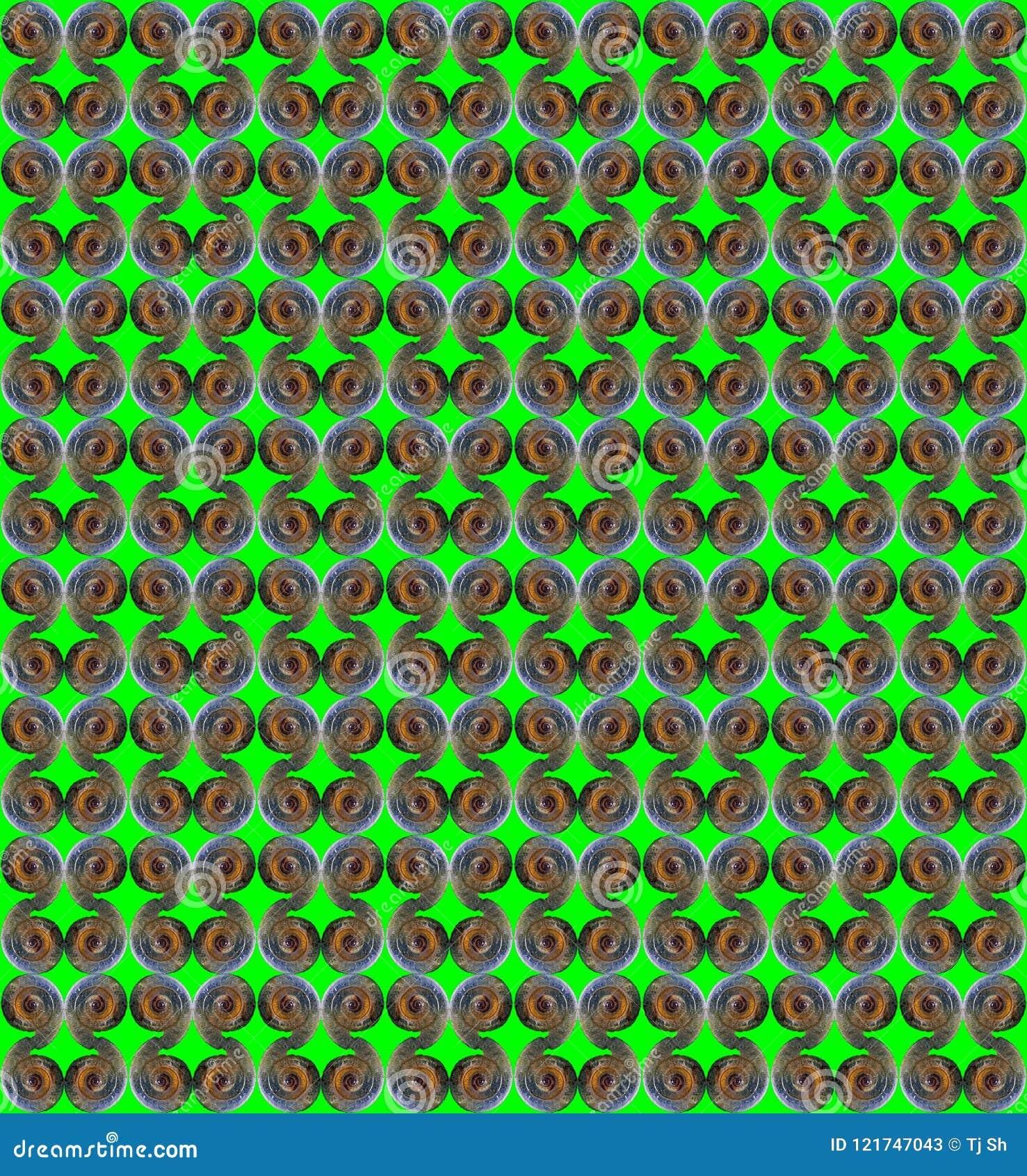 Shellxture stock illustration. Illustration of decorated - 121747043