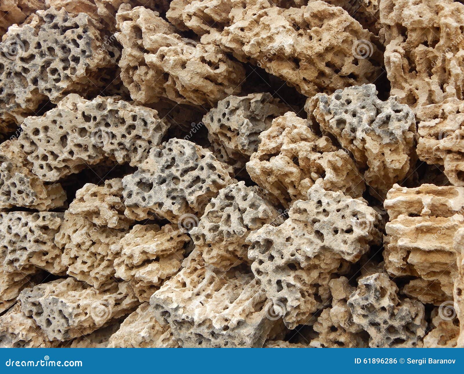 Shelly Stone Texture Background Stock Photo - Image of background ...