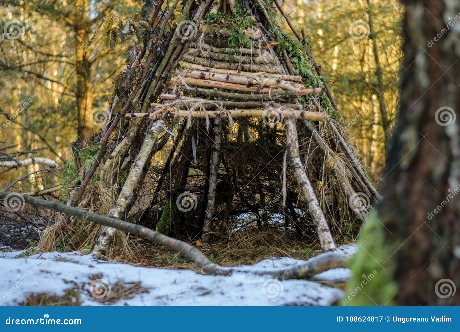 Shelter Made From Tree Branches In A Pine Forest Royalty-Free Stock ...