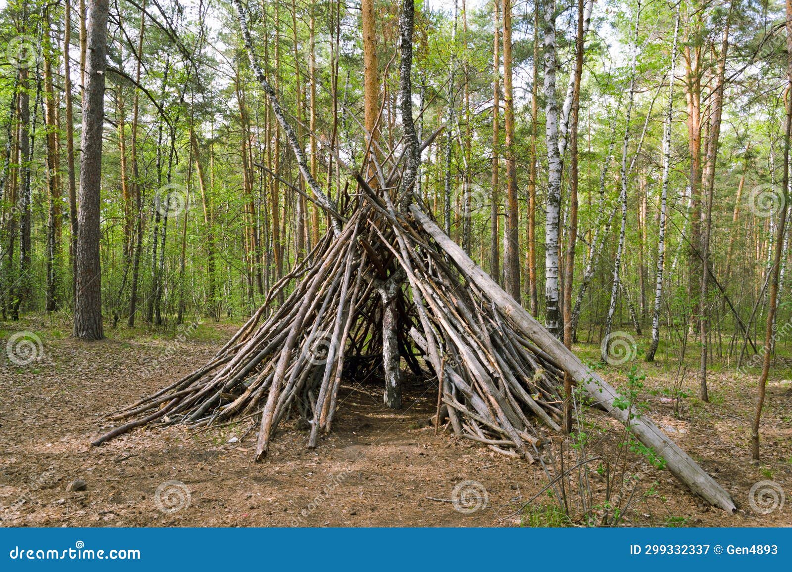 A Shelter Made of Logs in the Depths of a Thicket of Green Forest Stock ...