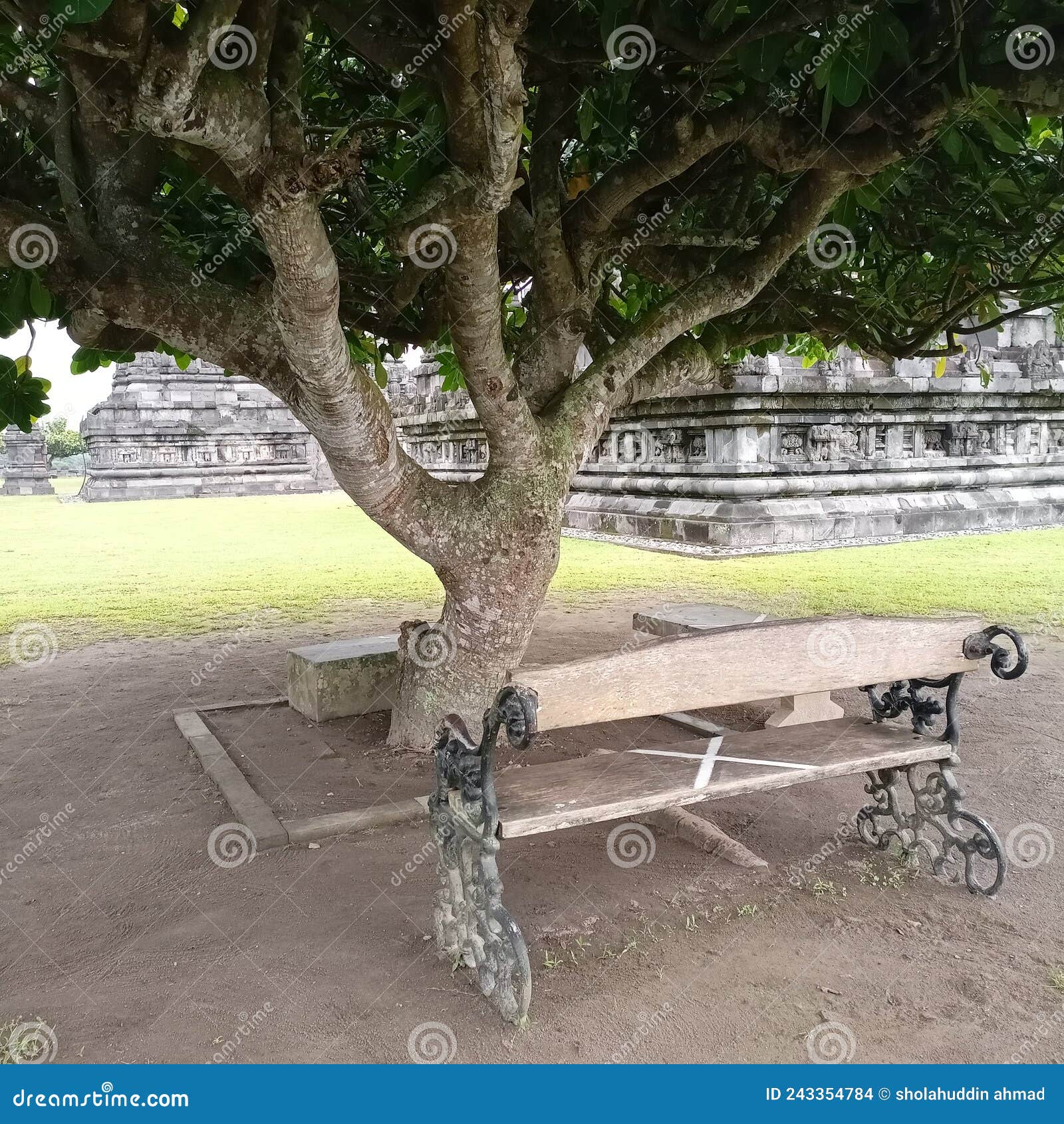 Shelter Under a Tree in a Park Stock Photo - Image of produce, flower ...