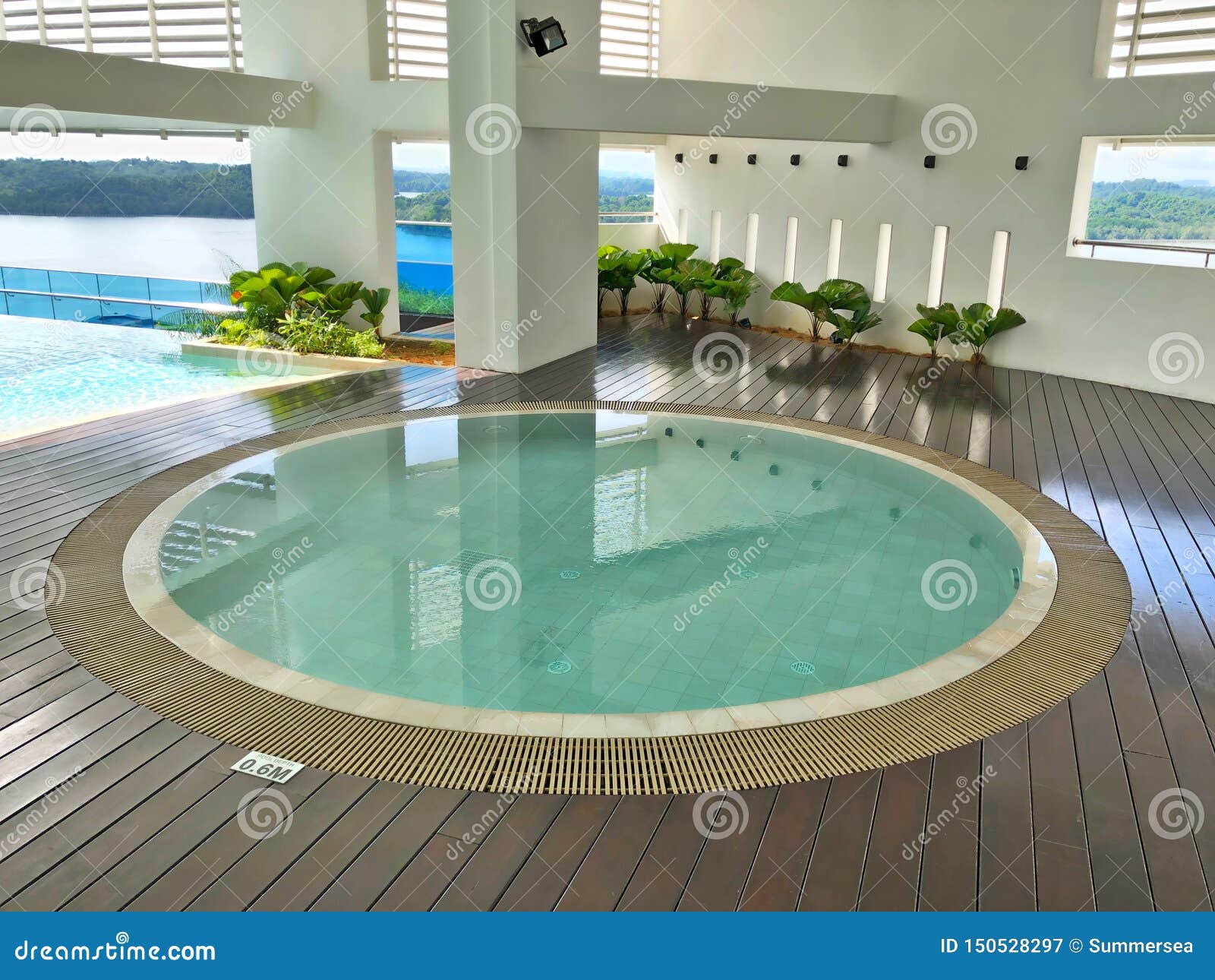 A Jacuzzi Hot Tub Next To A Large Freeform Swimming Pool With A ...