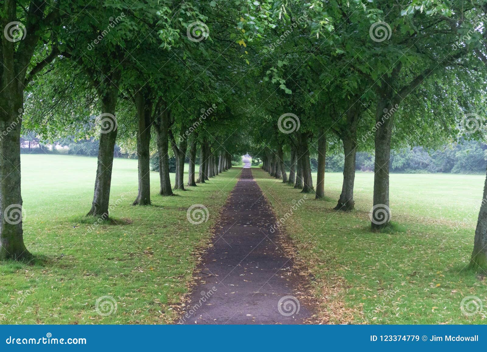 Sheltering from the Rain Under Scottish Trees Lining the Footpat Stock ...