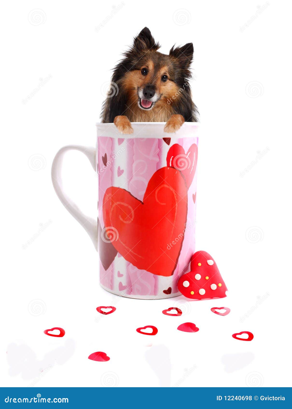 Sheltie Inside a Valentine Mug Stock Photo - Image of decorated, hearts ...