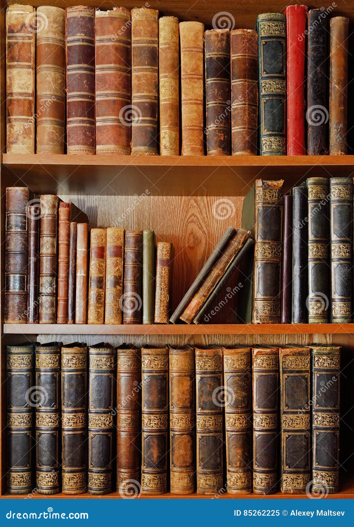 Shelves with Antique Books in Library Stock Image - Image of diary ...