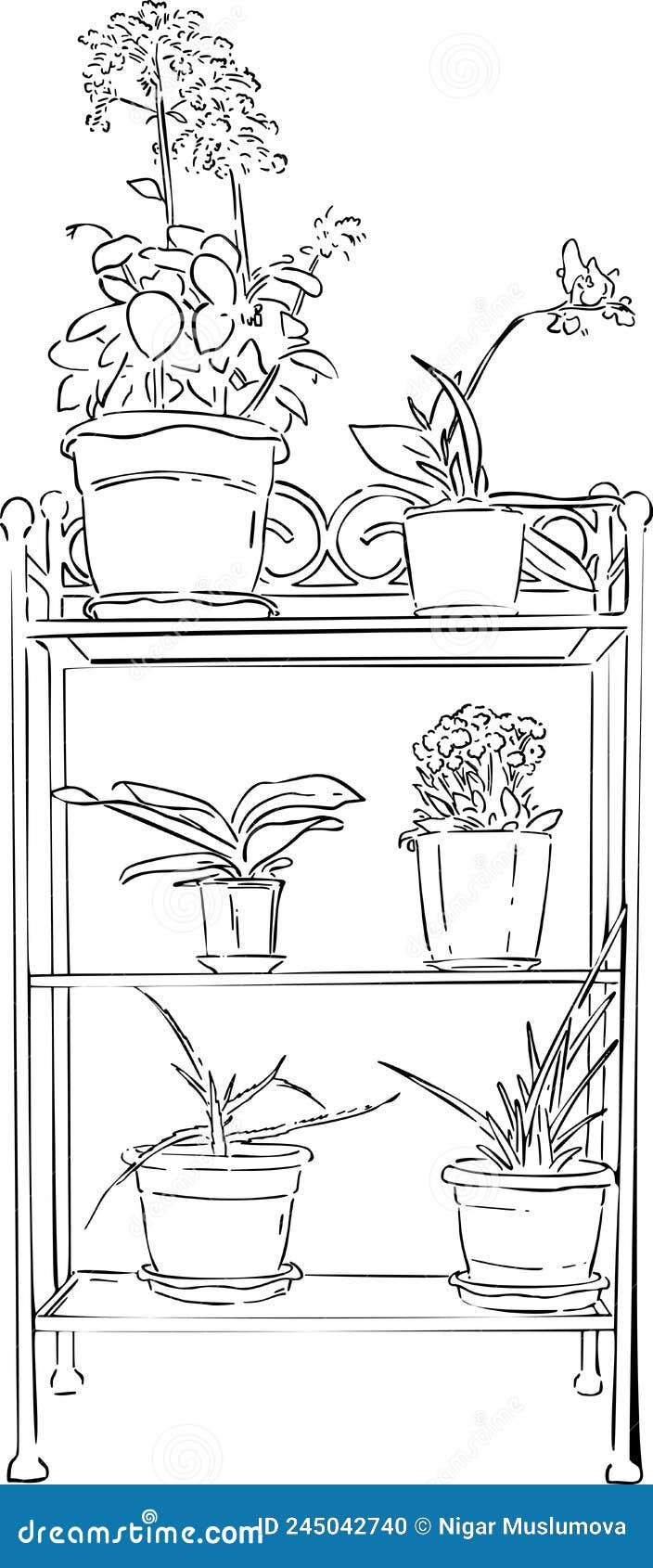 Shelves, Plants, Hand Draw Vector Illustration Art Stock Vector ...