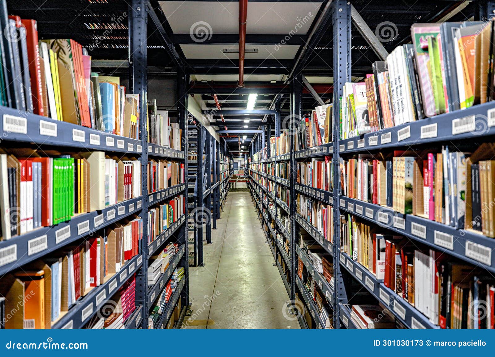 Shelving Inside a Logistics Warehouse for Book Storage Stock Image ...