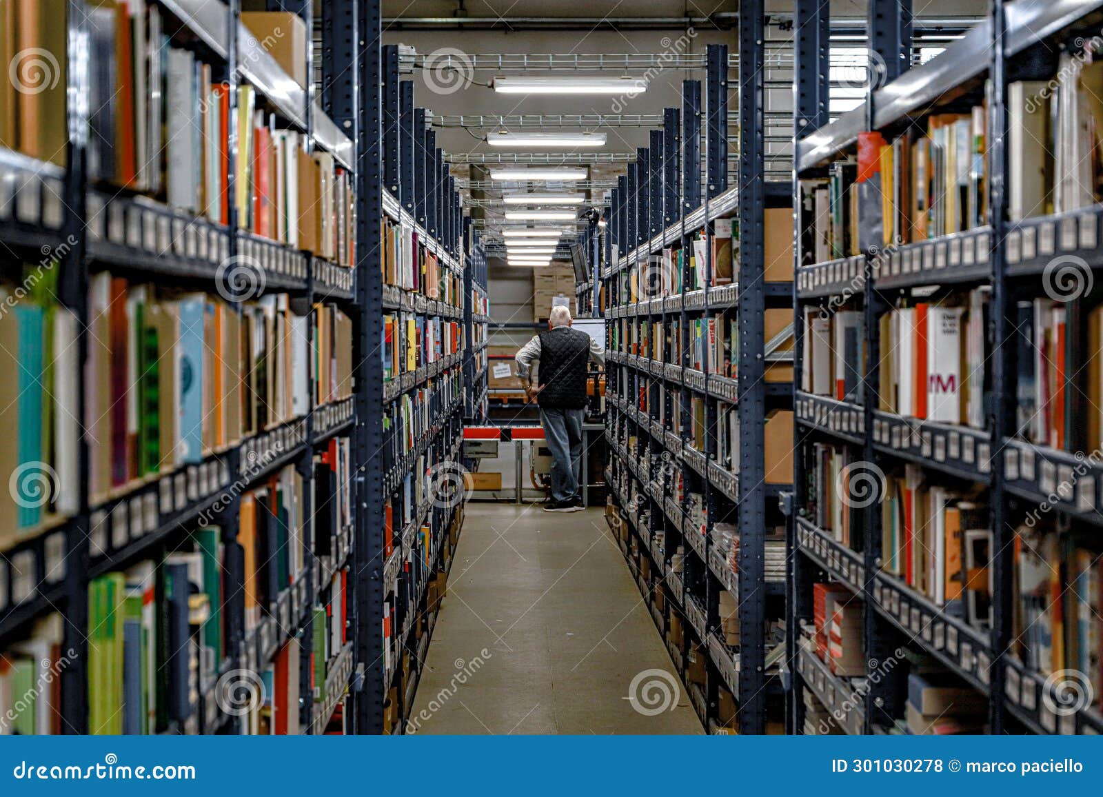 Shelving Inside a Logistics Warehouse for Book Storage Editorial Stock ...