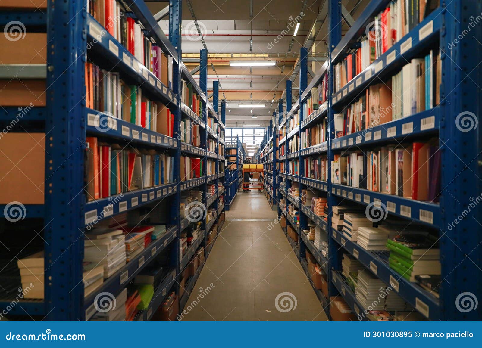 Shelving Inside a Logistics Warehouse for Book Storage Stock Image ...