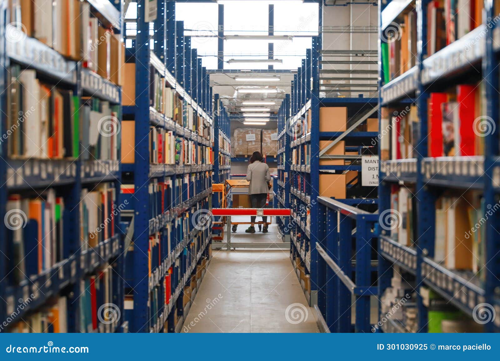 Shelving Inside a Logistics Warehouse for Book Storage Stock Image ...