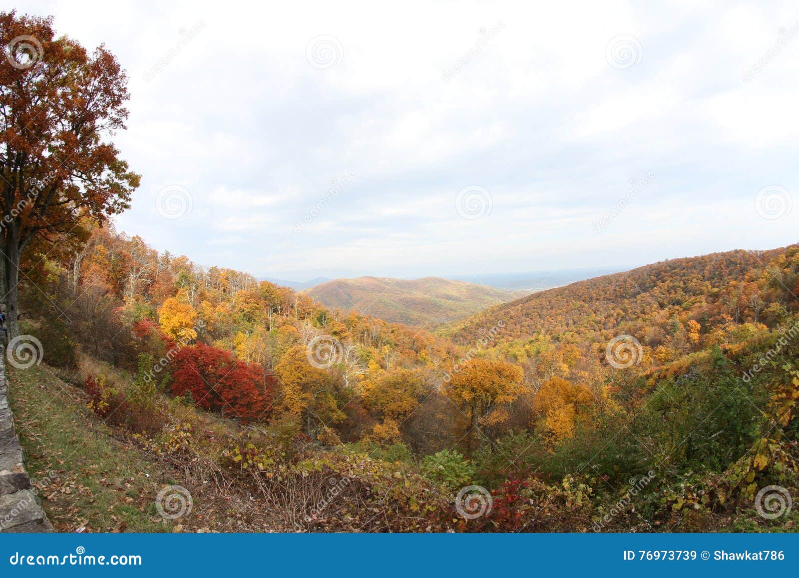 Shenandoah mountain.. stock image. Image of mountain - 76973739