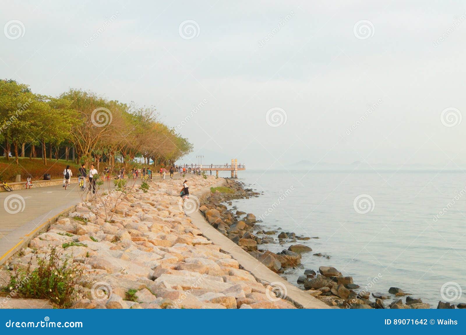 Shenzhen Bay Beach Landscape, Visitors are Playing Editorial ...
