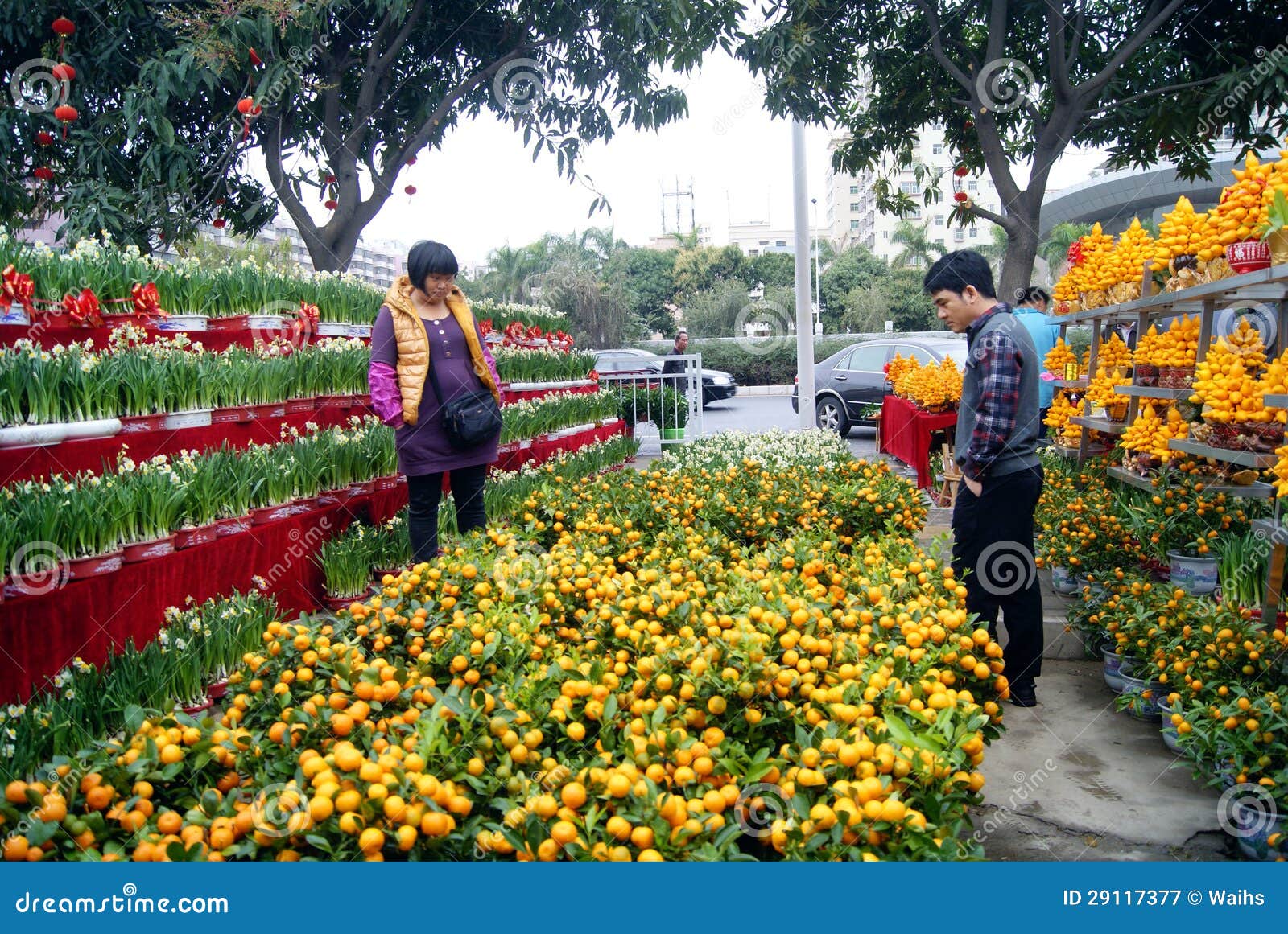 Shenzhen China: Flower Market Editorial Photography - Image of market ...
