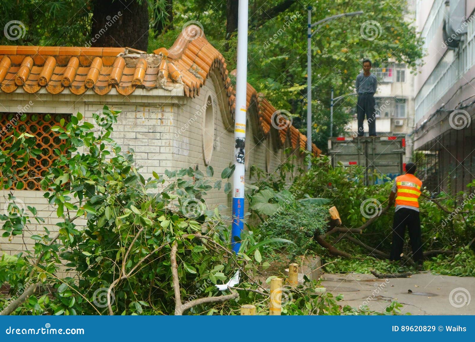 Shenzhen, China: Workers are Cutting Down Trees Editorial Stock Image ...