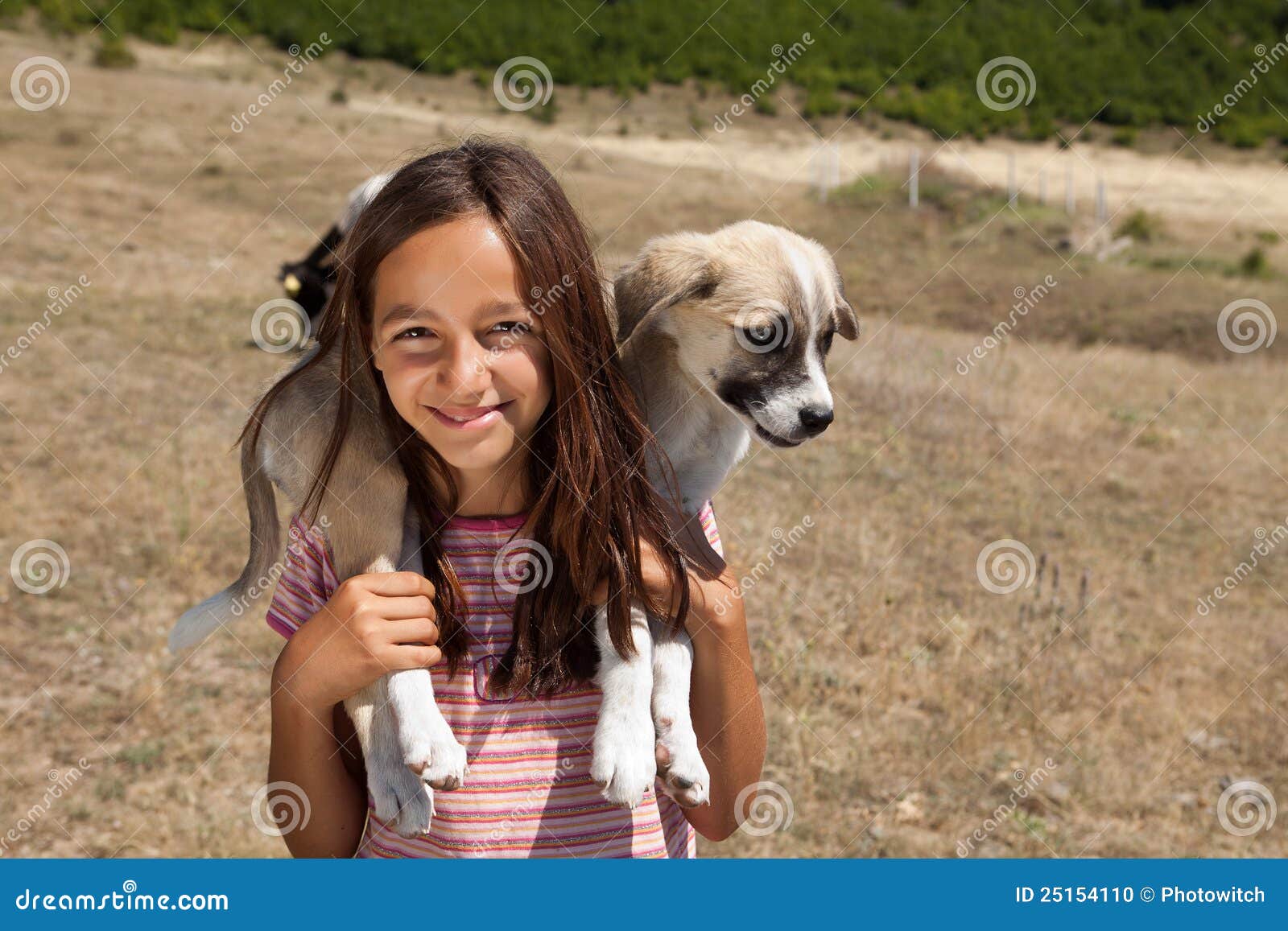 Shepherd girl with dog stock photo. Image of shepherd - 25154110