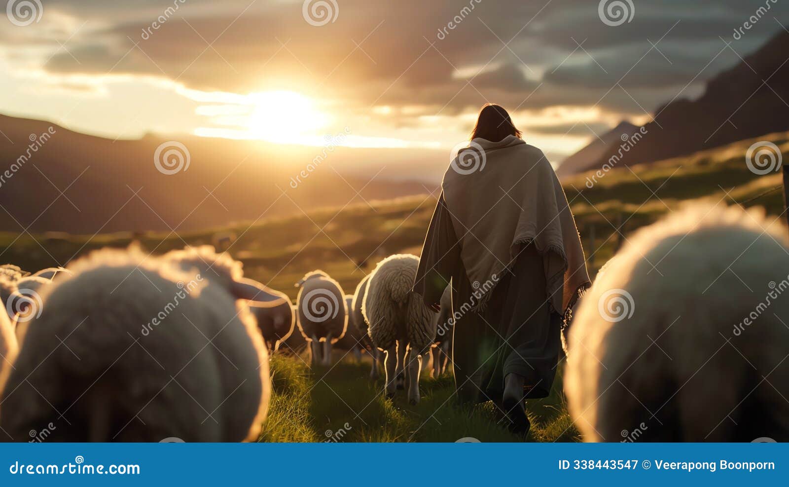 Shepherd Guiding Sheep through a Picturesque Landscape at Sunset Stock ...