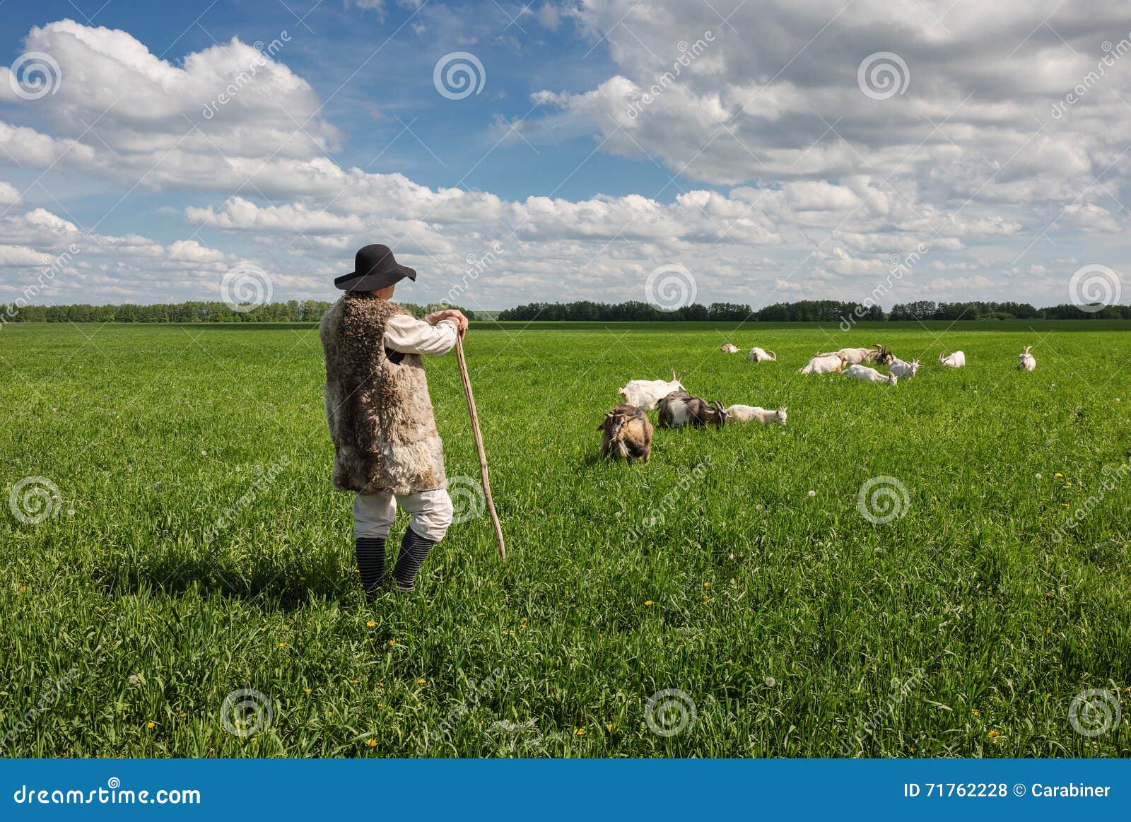 Shepherd and Herd of Goats on a Pasture Stock Photo - Image of ... Shepherd and Herd of Goats on a Pasture Stock Photo - Image of ...