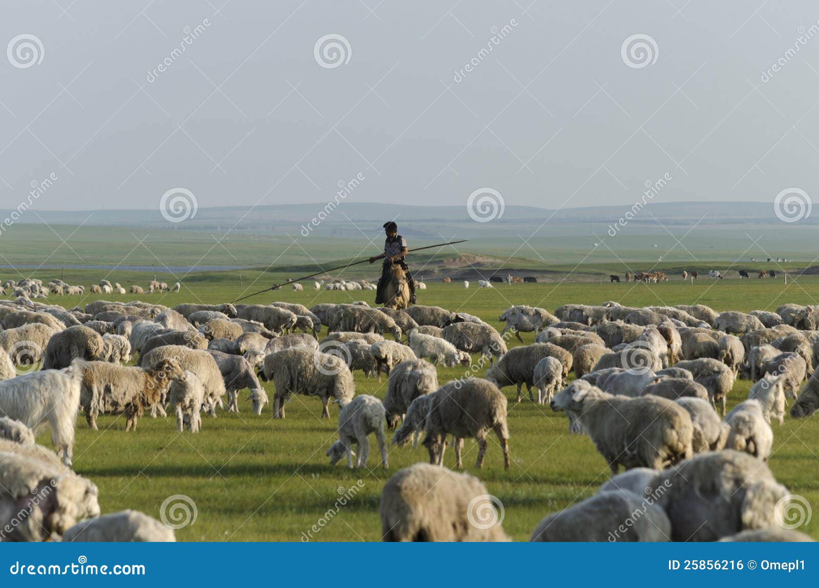 Shepherd With A Herd Of Sheep Royalty-Free Stock Photo | CartoonDealer ...
