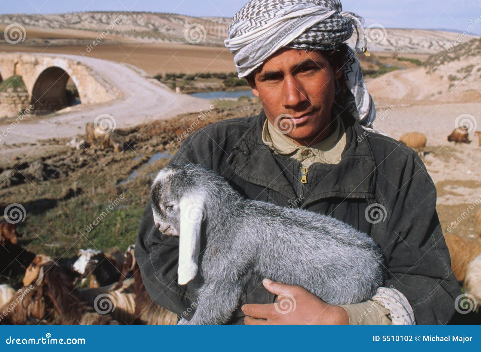 Shepherd Holding Goat Kid, Syria Editorial Photography - Image of ...