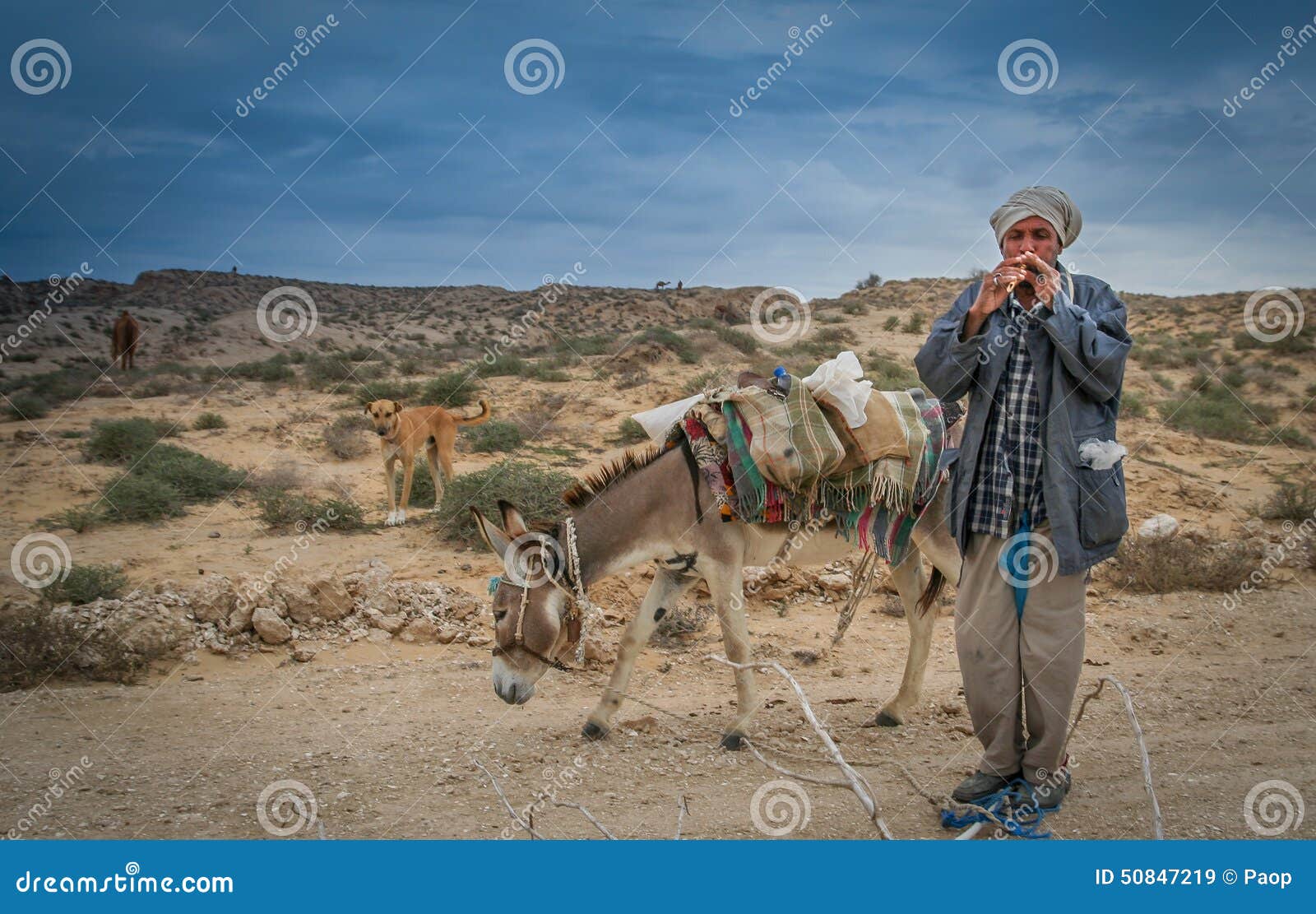Shepherd playing flute editorial stock image. Image of hoof - 50847219