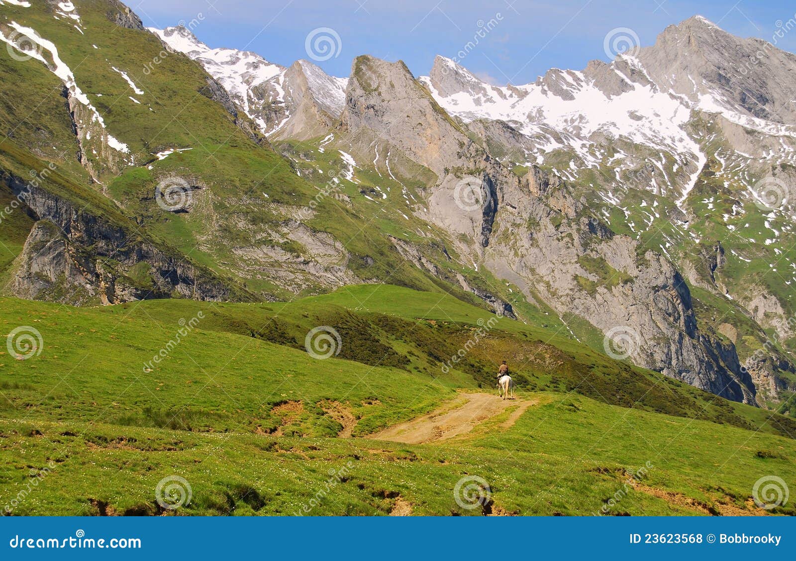 Shepherd, Pyrenean Mountains, France Stock Photo - Image of mountainous ...