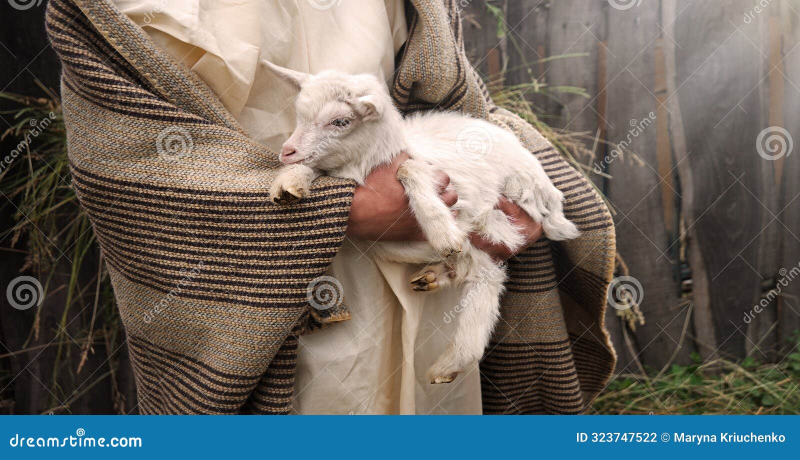 Shepherd with a Sheep in His Arms Stock Photo - Image of herder ...