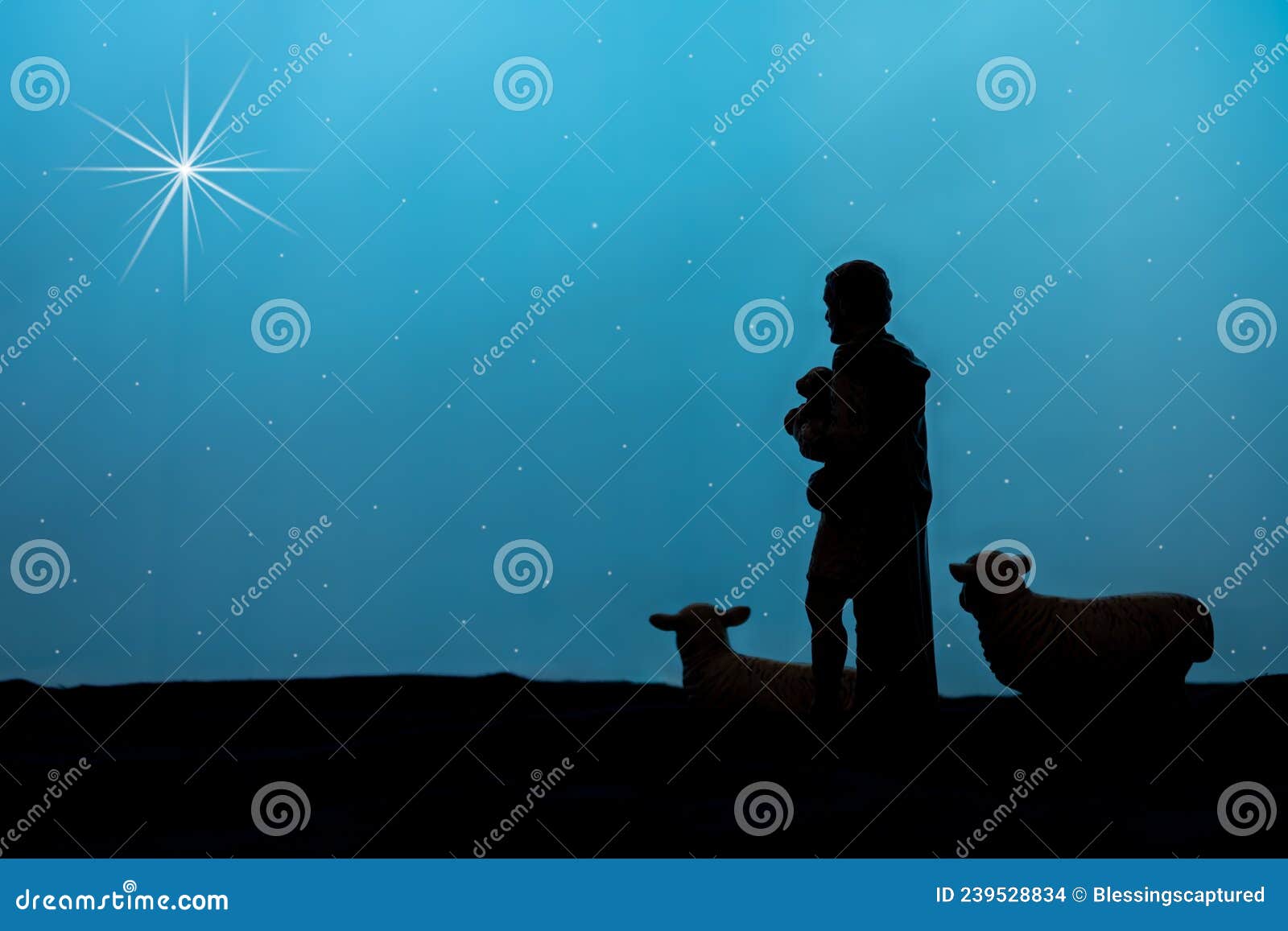Shepherd Sheep Silouette with the Star of Bethlehem Stock Illustration ...