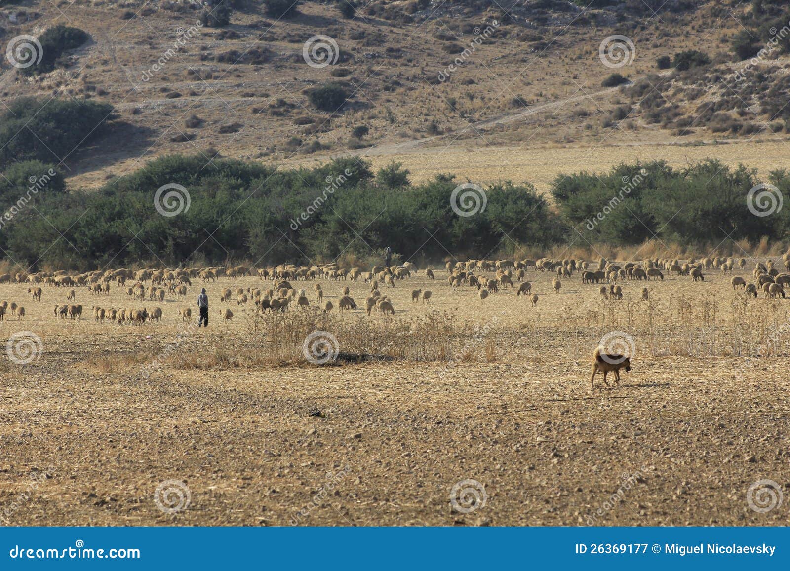 In The Valley Of Elah