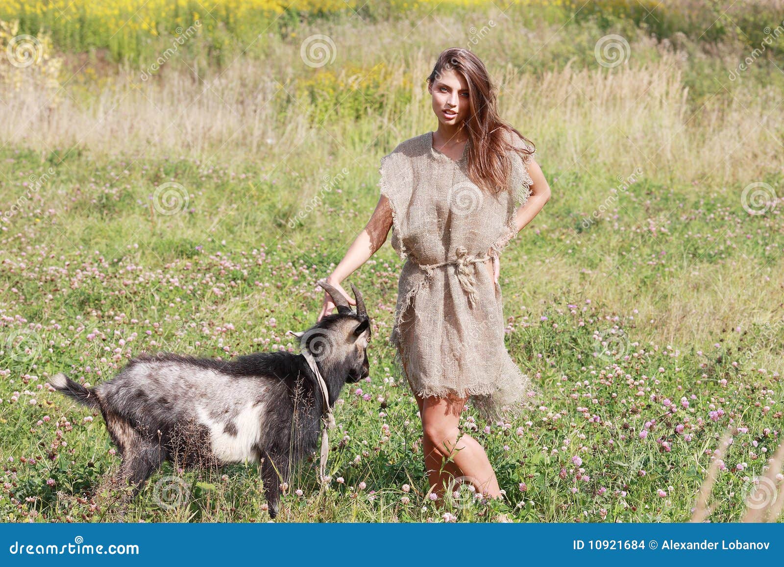 Shepherdess. stock photo. Image of goat, adult, horns - 10921684