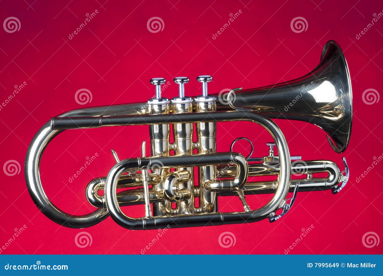Sheppardsâ€™s Crook Cornet on Red Stock Image - Image of photograph ...