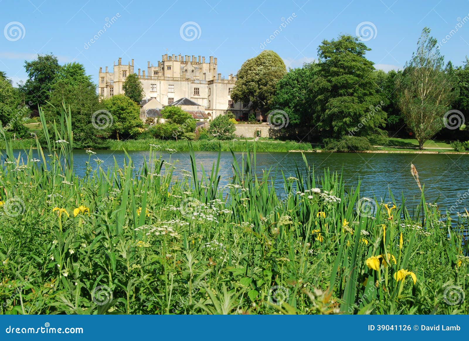 Sherborne Castle, Dorset stock photo. Image of grass - 39041126