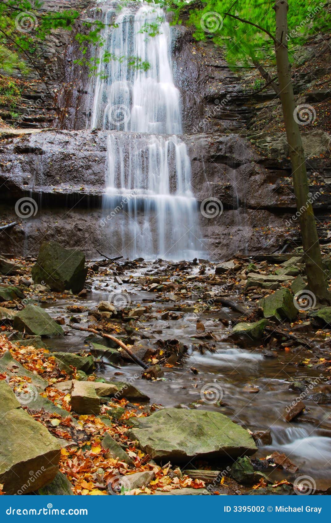 Sherman Falls stock photo. Image of fresh, nature, plant - 3395002