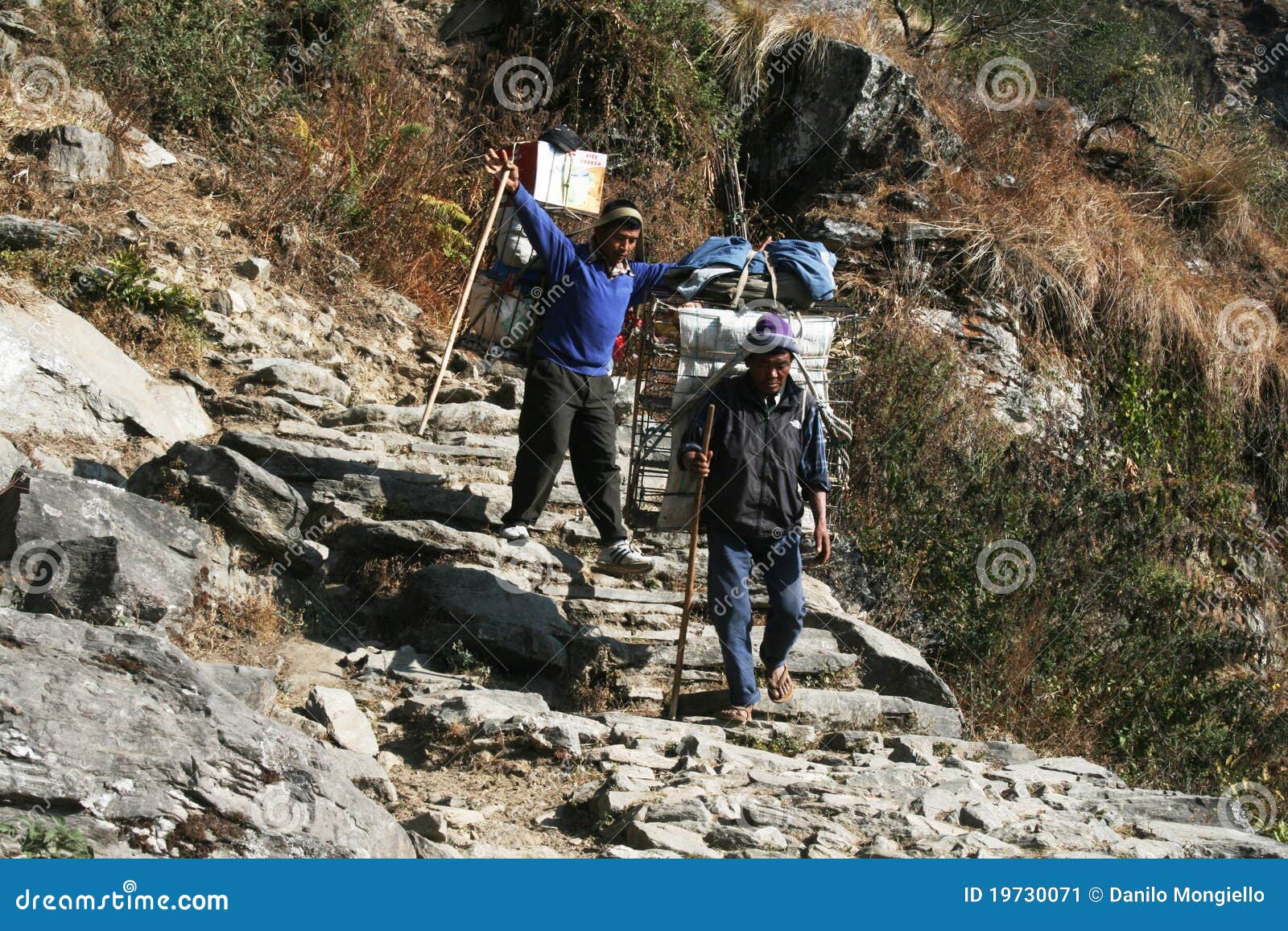 Sherpa editorial photo. Image of mountain, carrying, asia - 19730071