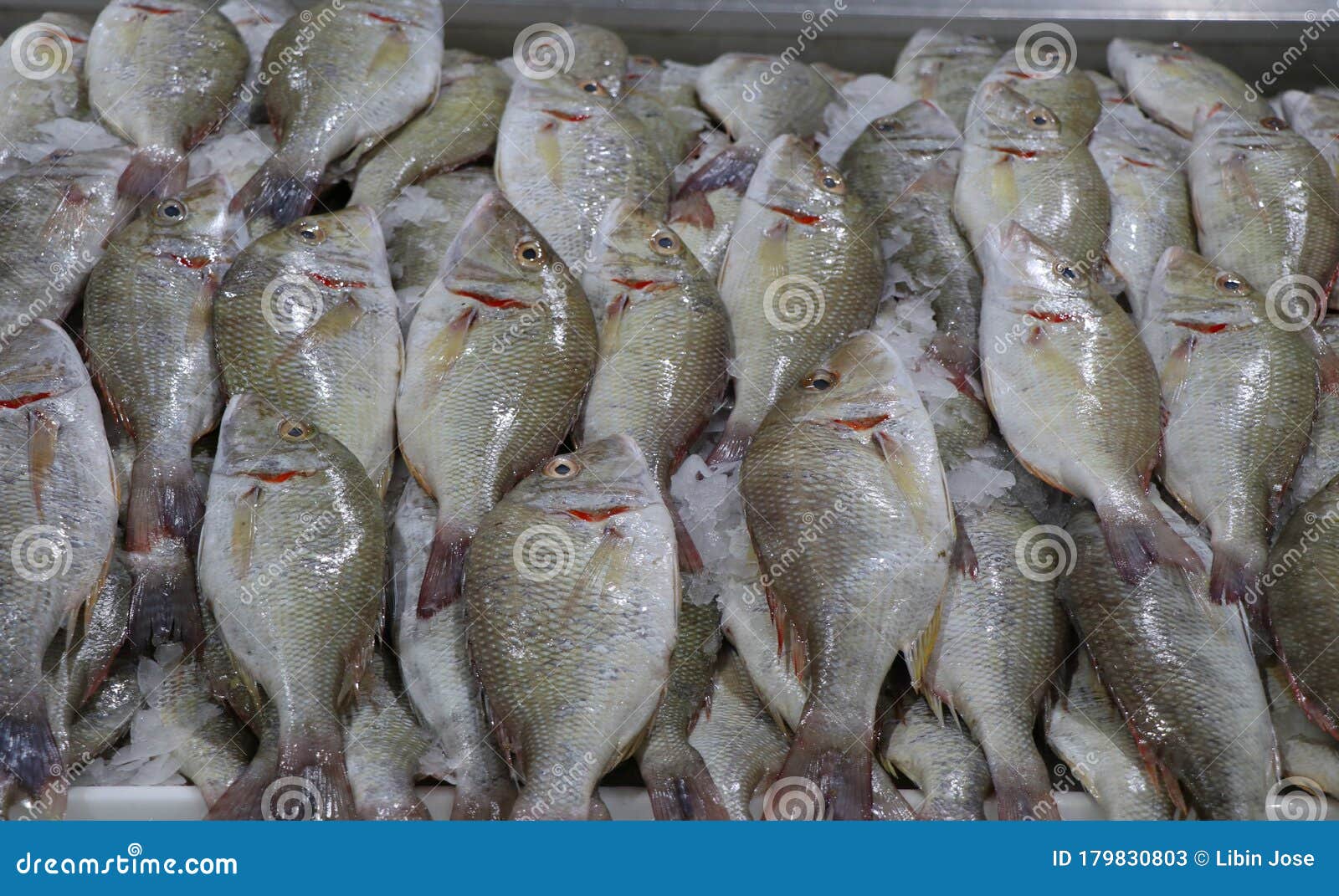 Sherry Fish in a Market Stall for Sell Stock Image - Image of bream ...