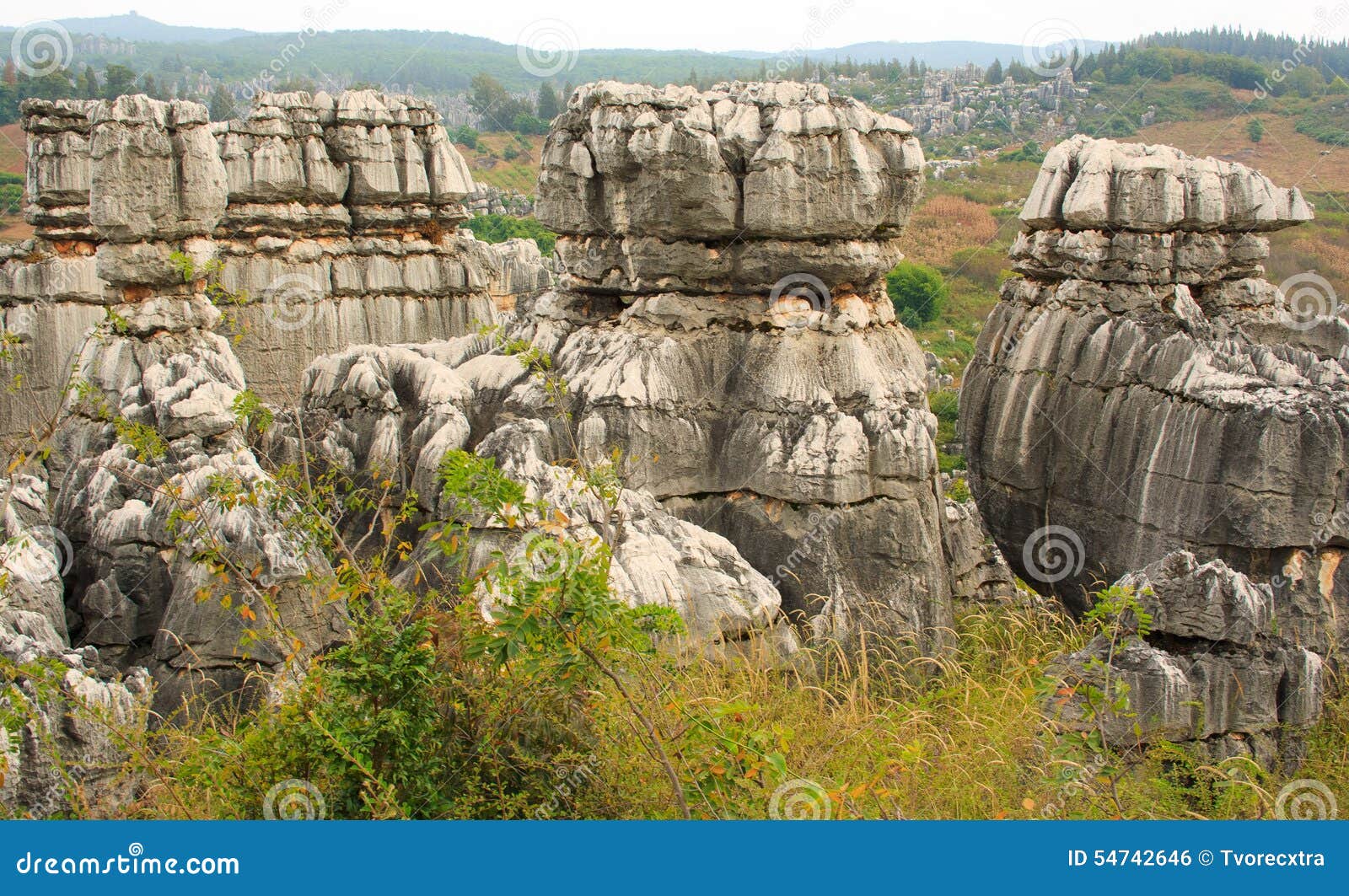 Shi Lin Stone Forest National Park. Kunming Stock Photo - Image of ...