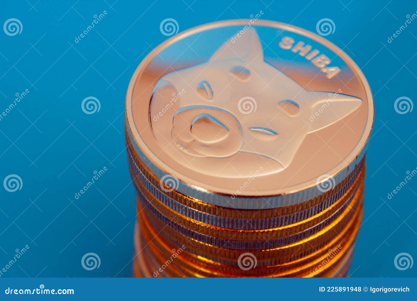Shiba INU stock photo. Image of currency, investment - 225891948