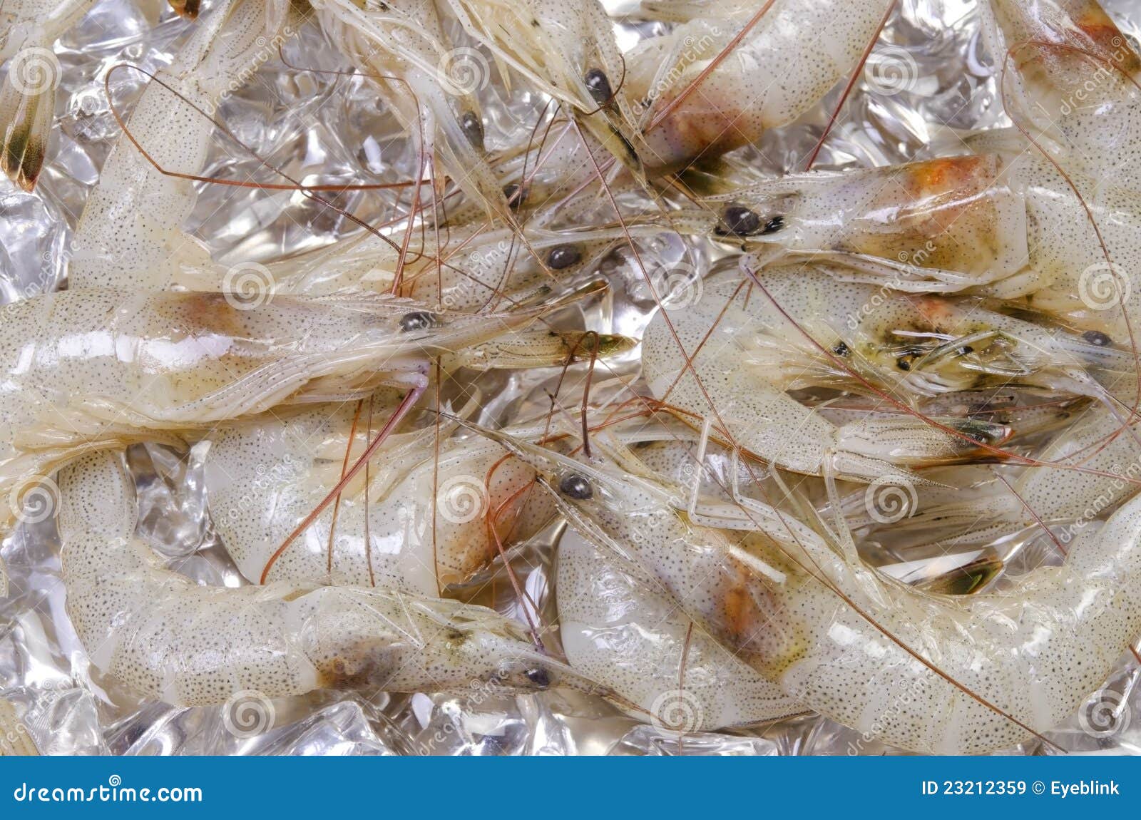 Shiba shrimp stock image. Image of seafood, organic, fresh - 23212359