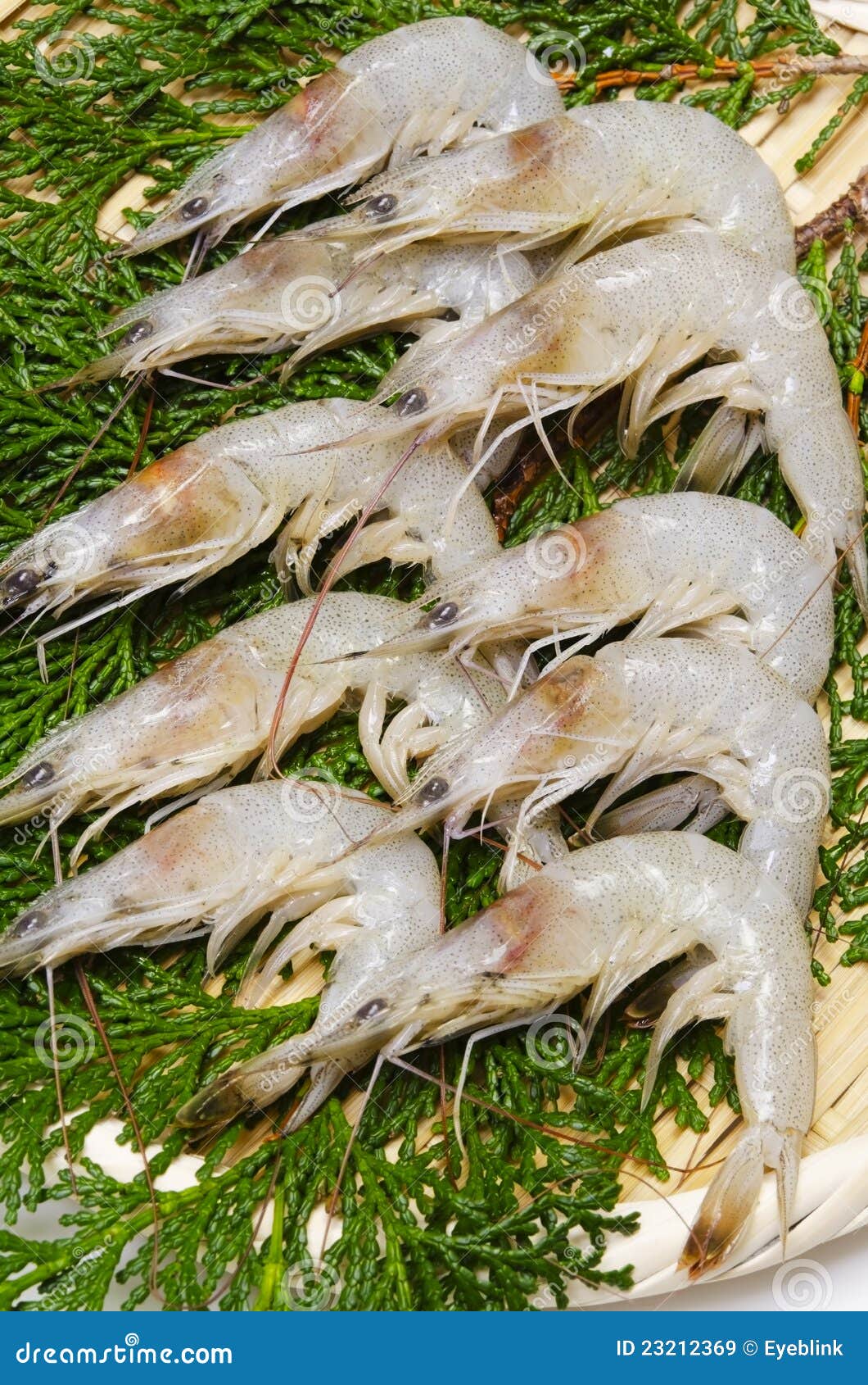 Shiba shrimp stock image. Image of healthy, diet, food - 23212369