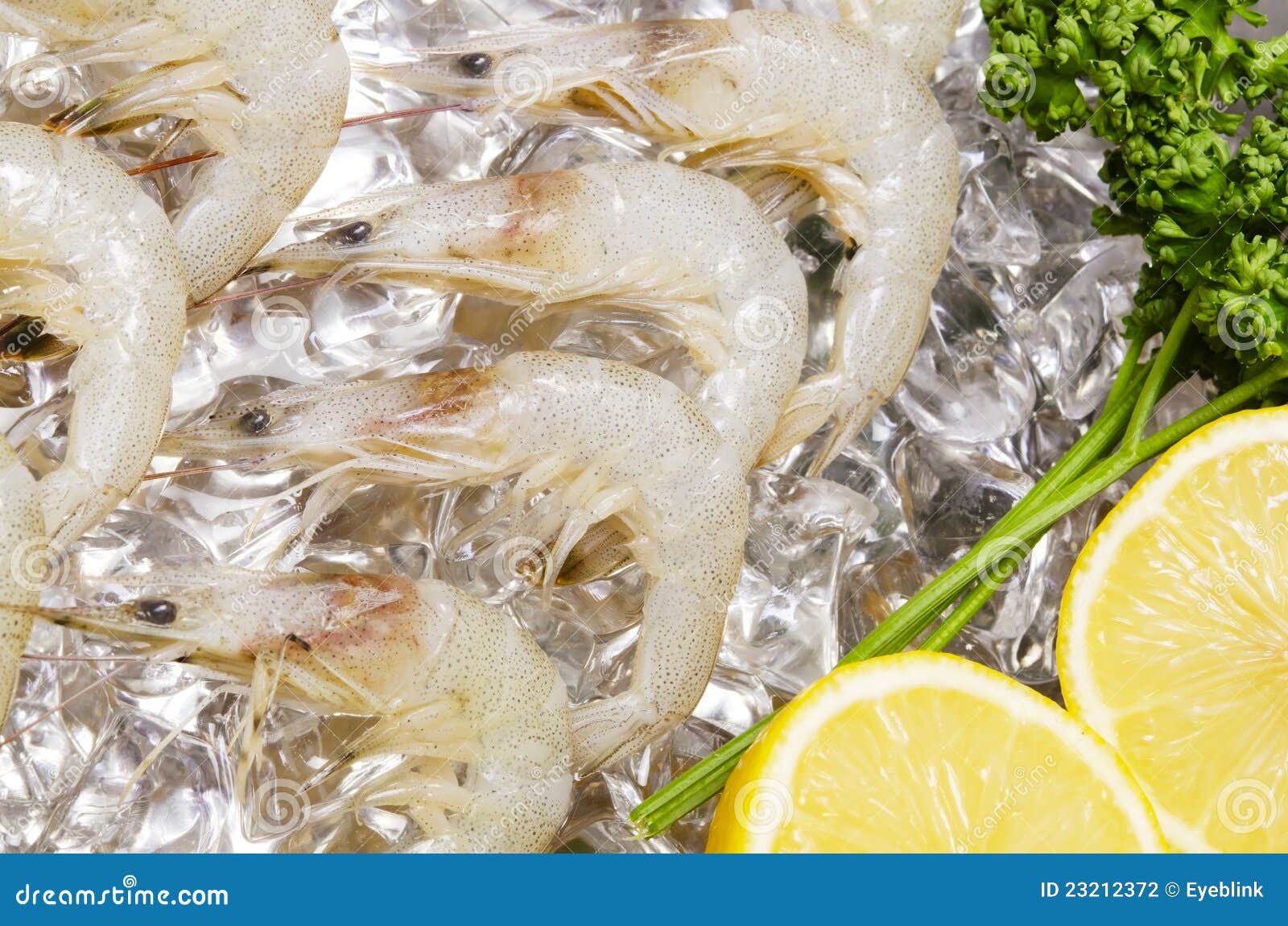 Shiba shrimp stock photo. Image of diet, healthy, prawn - 23212372