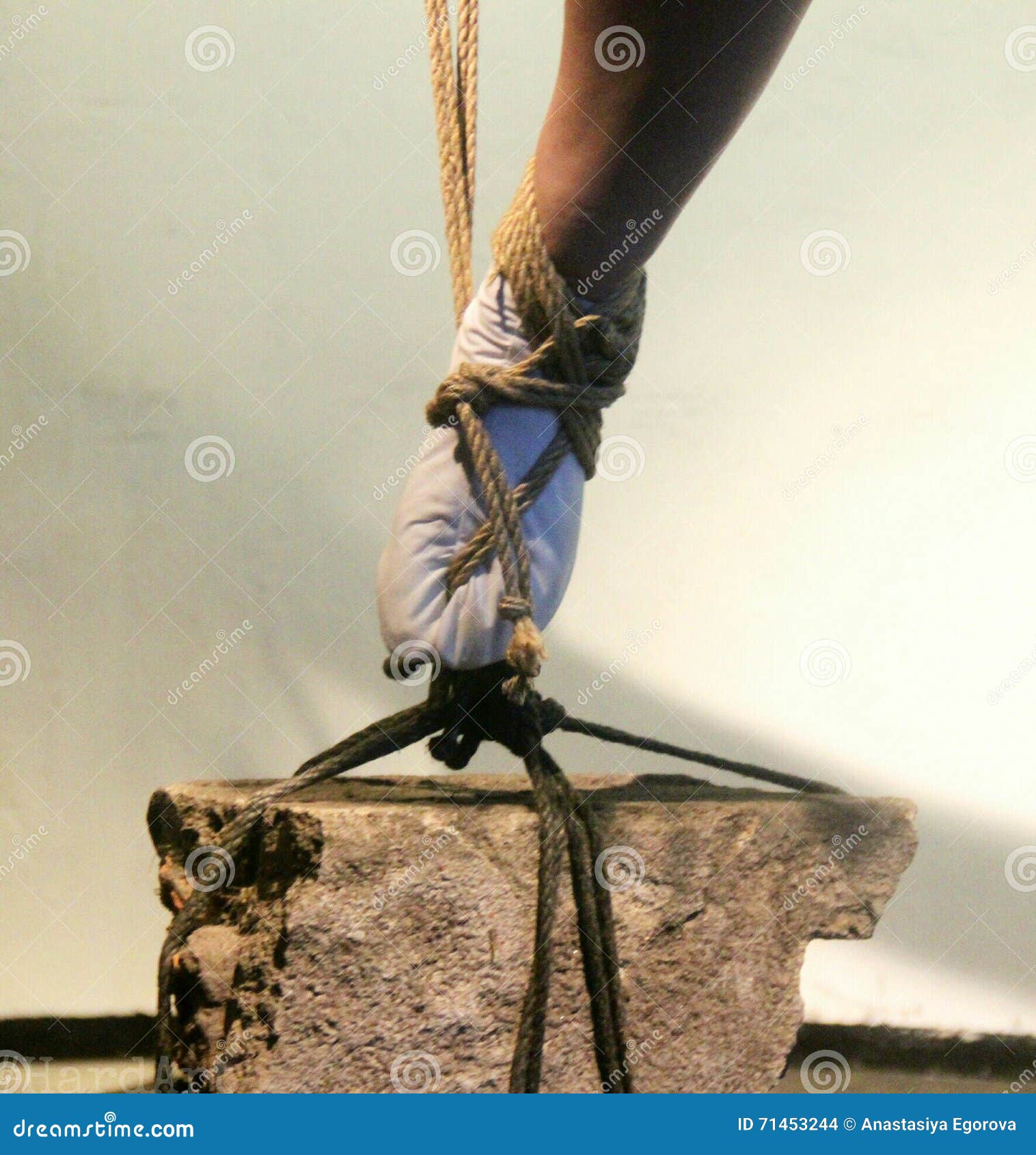 Shibari стоковое фото. изображение насчитывающей прочность - 71453244