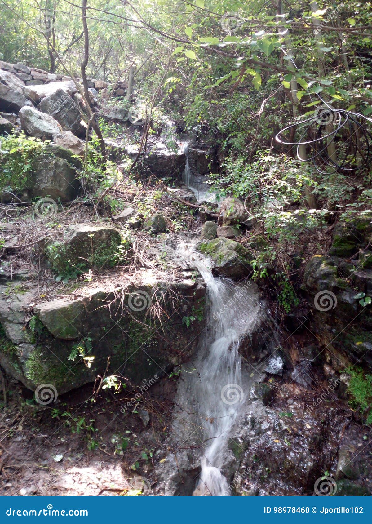 Shidu stock photo. Image of waterfall, ravine, shidu - 98978460
