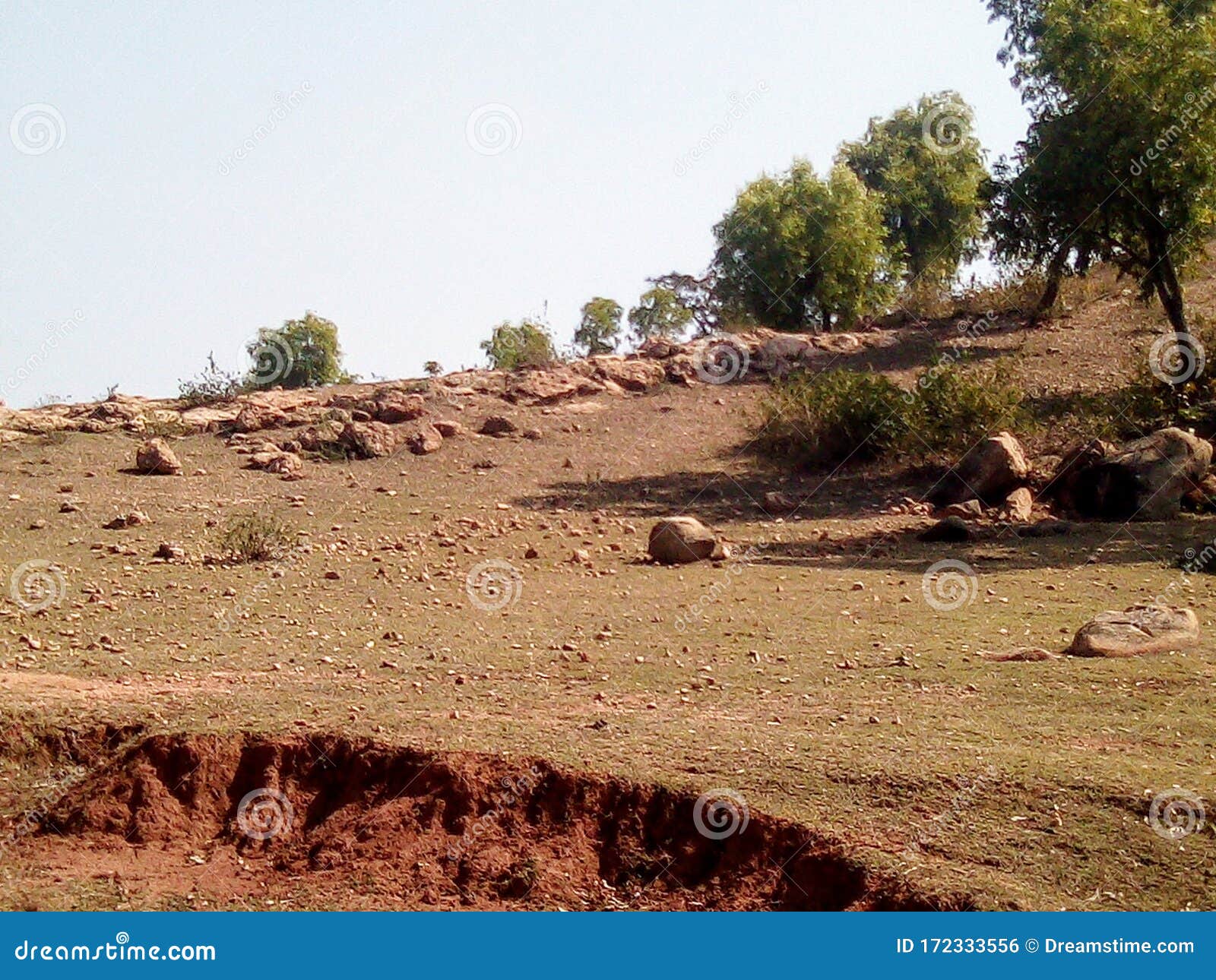 Shield Design Good Achcha Beautiful Stock Photo - Image of beautiful ...