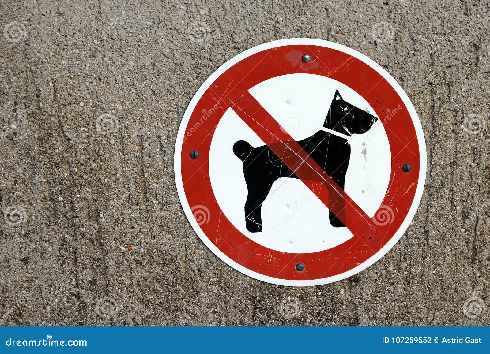 Shield Dogs Forbidden! Prohibition Sign Dogs Stock Photo - Image of ...