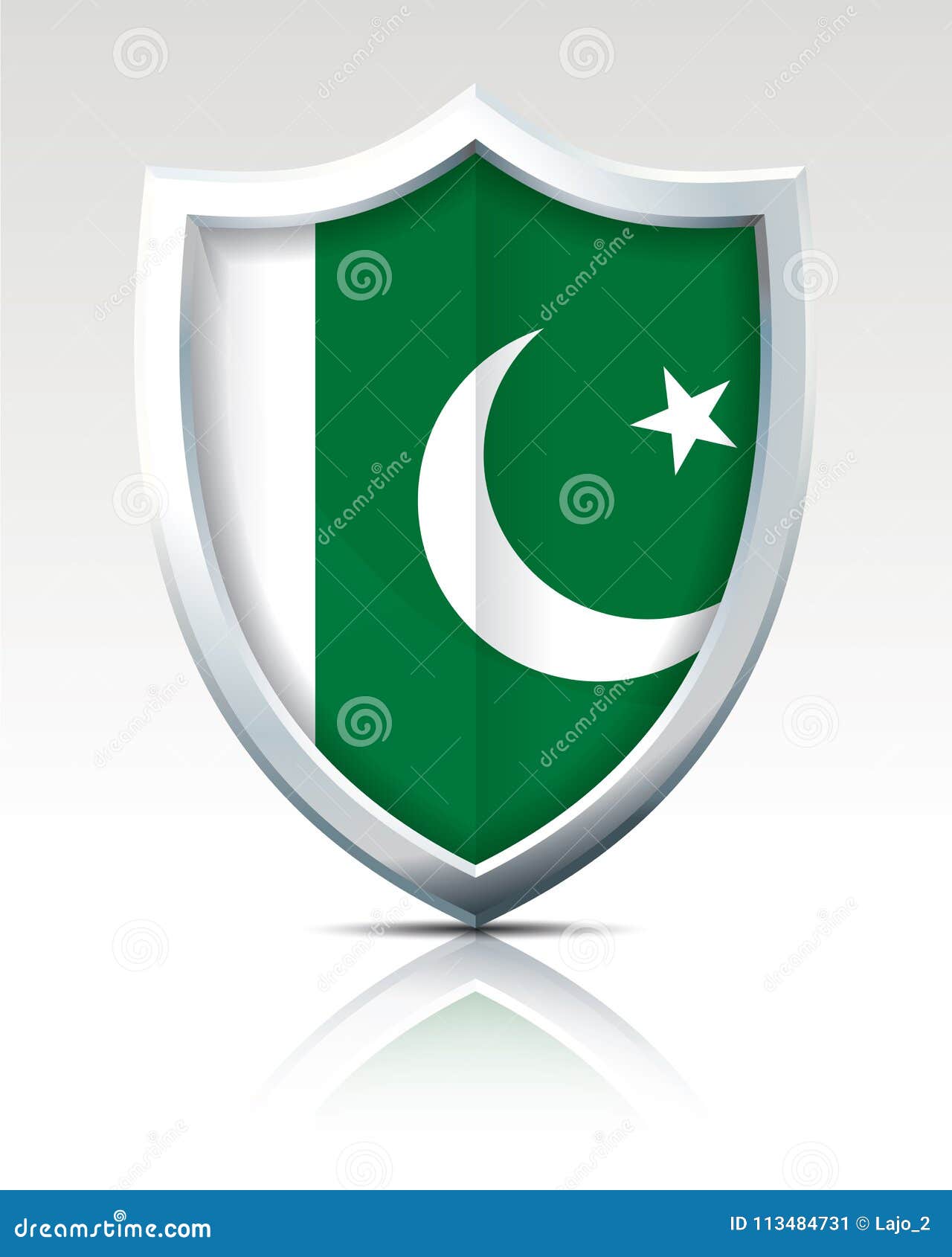 Shield with Flag of Pakistan Stock Vector - Illustration of moon, land ...